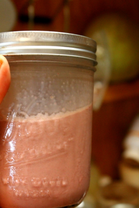 raw chocolate milk (with a boost!) | Nourishing Days
