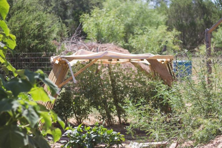 Postcards From the July Homestead | Nourishing Days